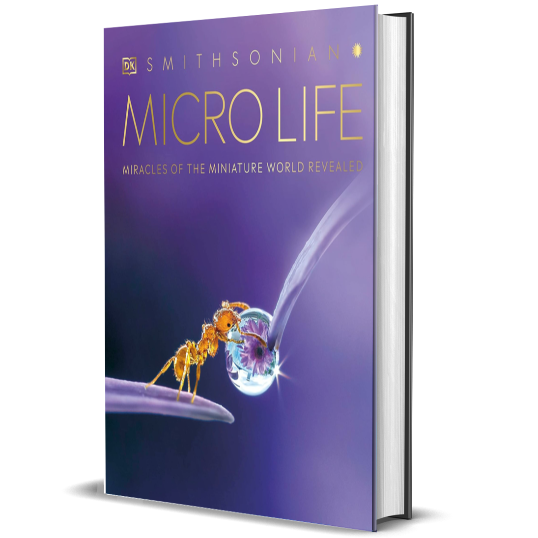 Micro Life: Miracles of the Miniature World Revealed (DK Secret World - BIOWEB® Colombia