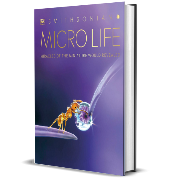 Micro Life: Miracles of the Miniature World Revealed (DK Secret World ...