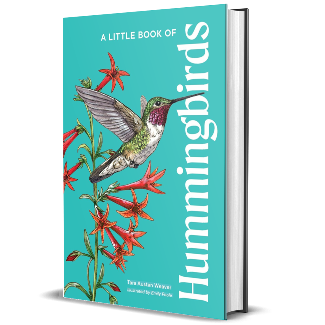 A Little Book of Hummingbirds (Little Book of Natural Wonders) - BIOWEB ...