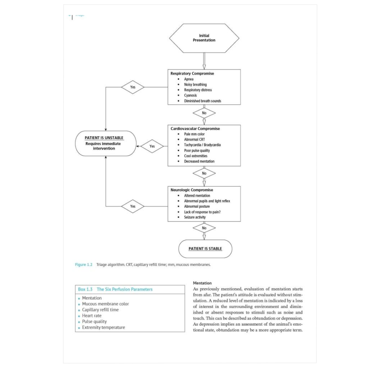 Advanced Monitoring and Procedures for Small Animal Emergency and Crit - BIOWEB® Colombia