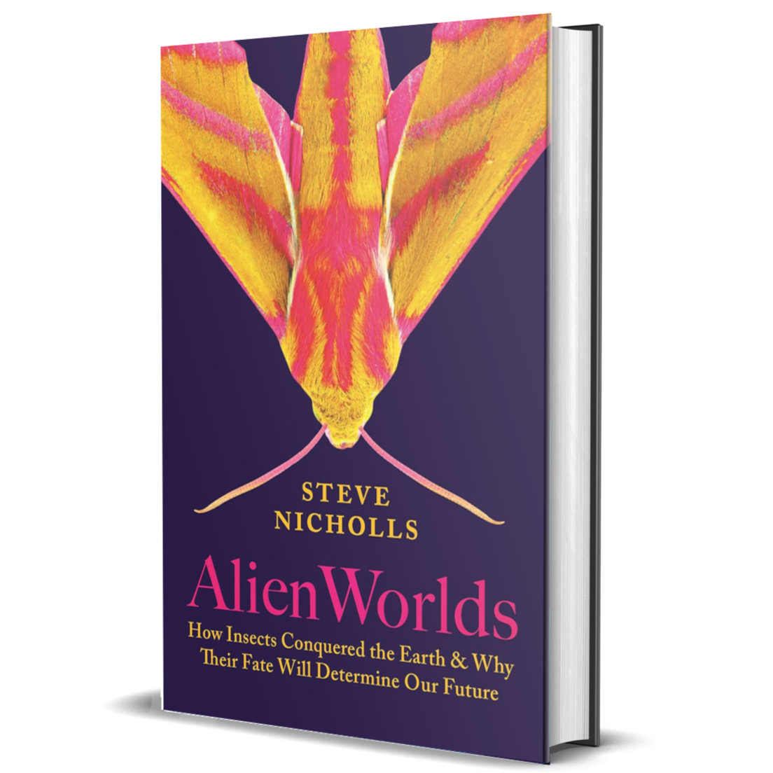 Alien Worlds: How Insects Conquered the Earth, and Why Their Fate Will ...