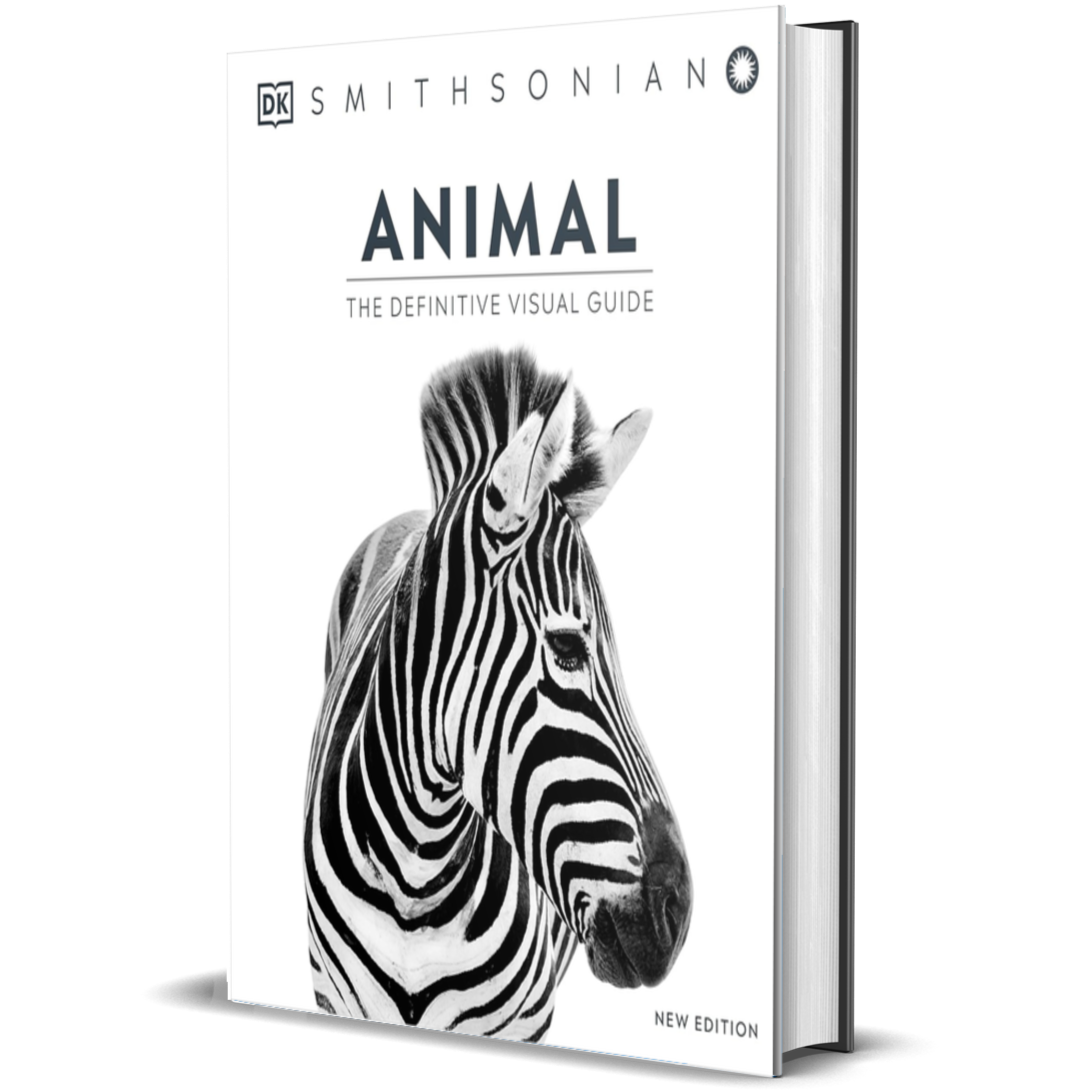 Animal: The Definitive Visual Guide (DK Definitive Visual Encyclopedia ...