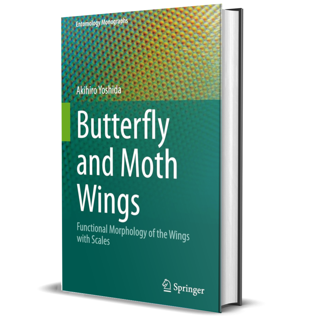 Butterfly and Moth Wings: Functional Morphology of the Wings with Scal ...
