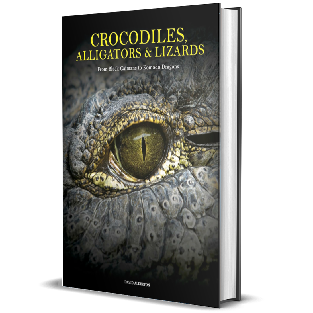Crocodiles, Alligators & Lizards: From Black Caimans to Komodo Dragons ...