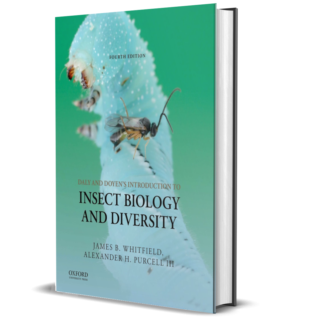 Daly and Doyen's Introduction to Insect Biology and Diversity - BIOWEB ...