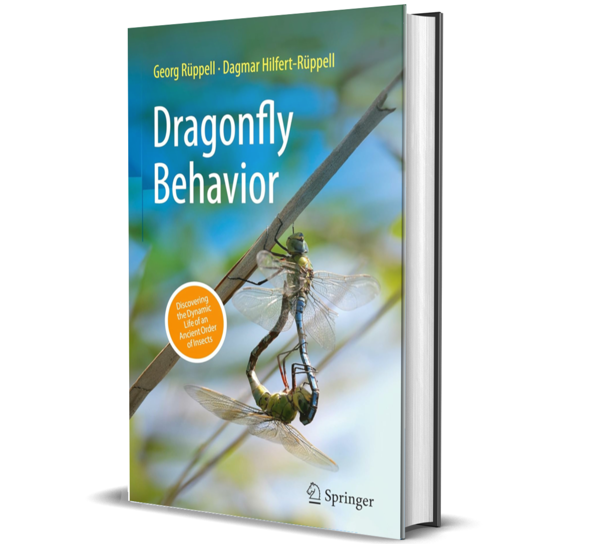 Dragonfly Behavior: Discovering the Dynamic Life of an Ancient Order o - BIOWEB® Colombia