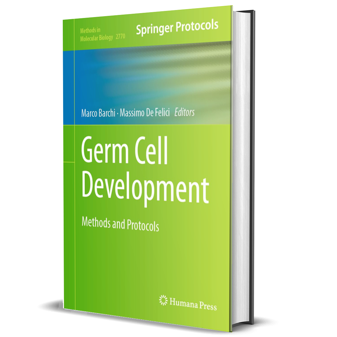 Germ Cell Development: Methods and Protocols (Methods in Molecular Bio ...