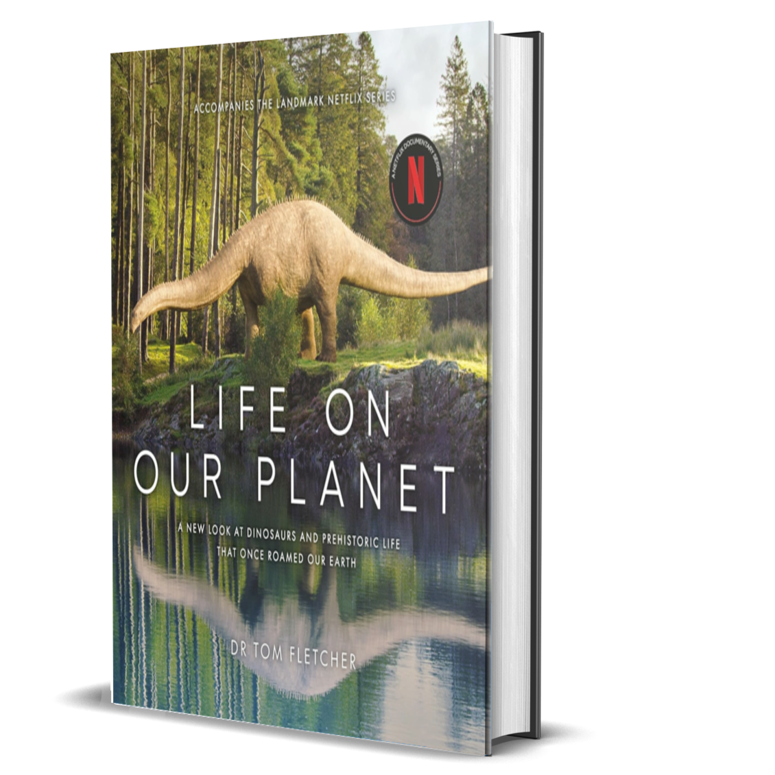 Life on Our Planet: A Stunning Re-examination of Prehistoric Life on E ...