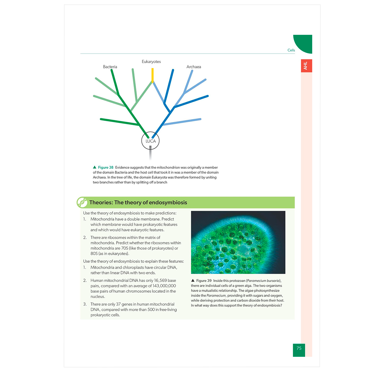 Oxford Resources for IB DP Biology Course Book - BIOWEB® Colombia