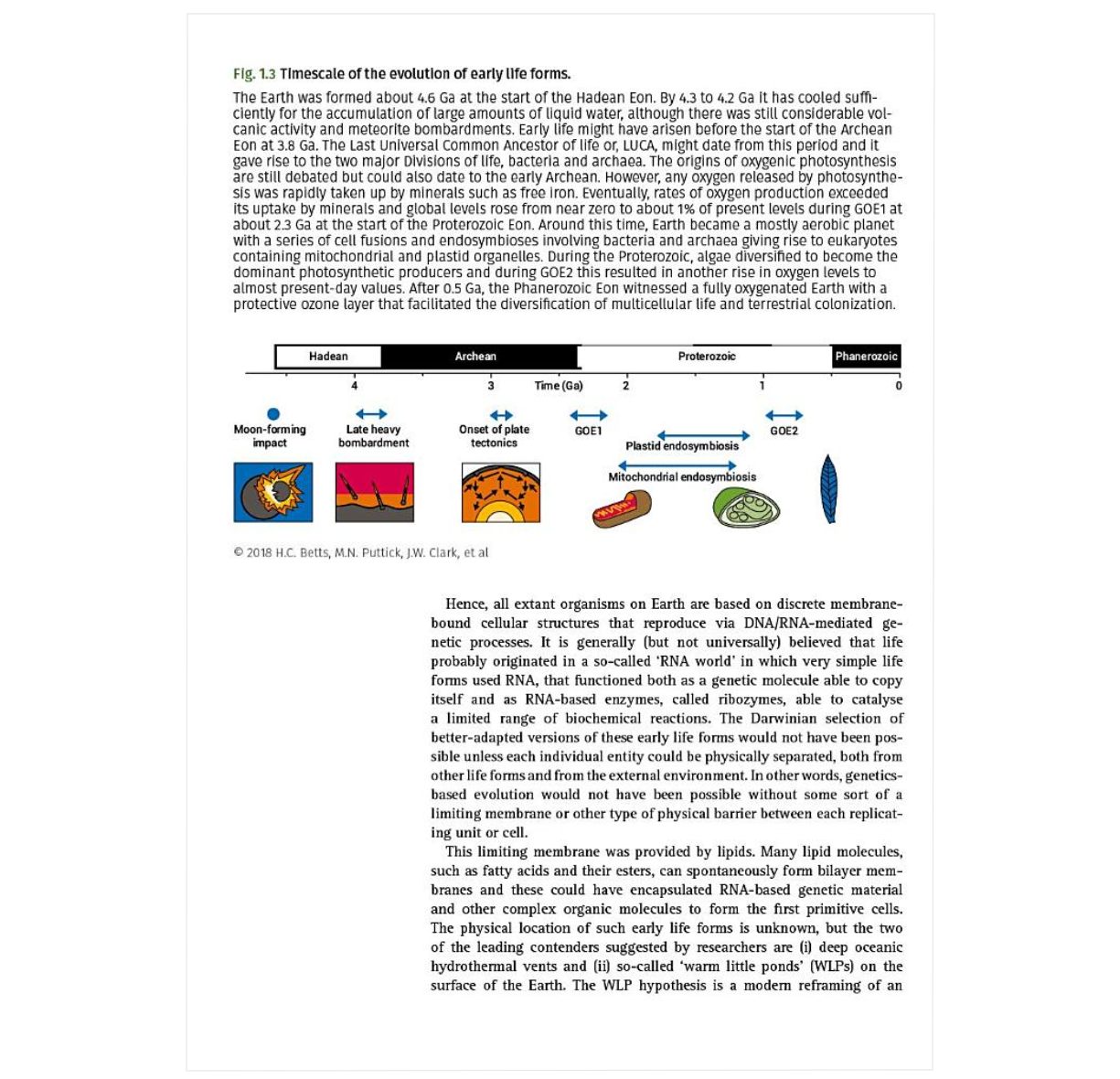 Photosynthetic Life: Origin, Evolution, and Future (Oxford Biology Pri ...