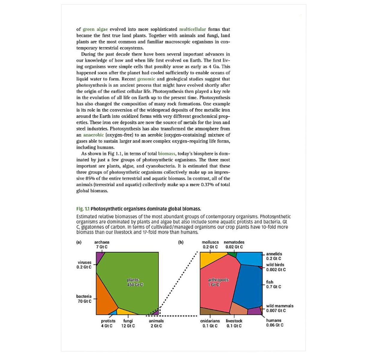 Photosynthetic Life: Origin, Evolution, and Future (Oxford Biology Pri ...