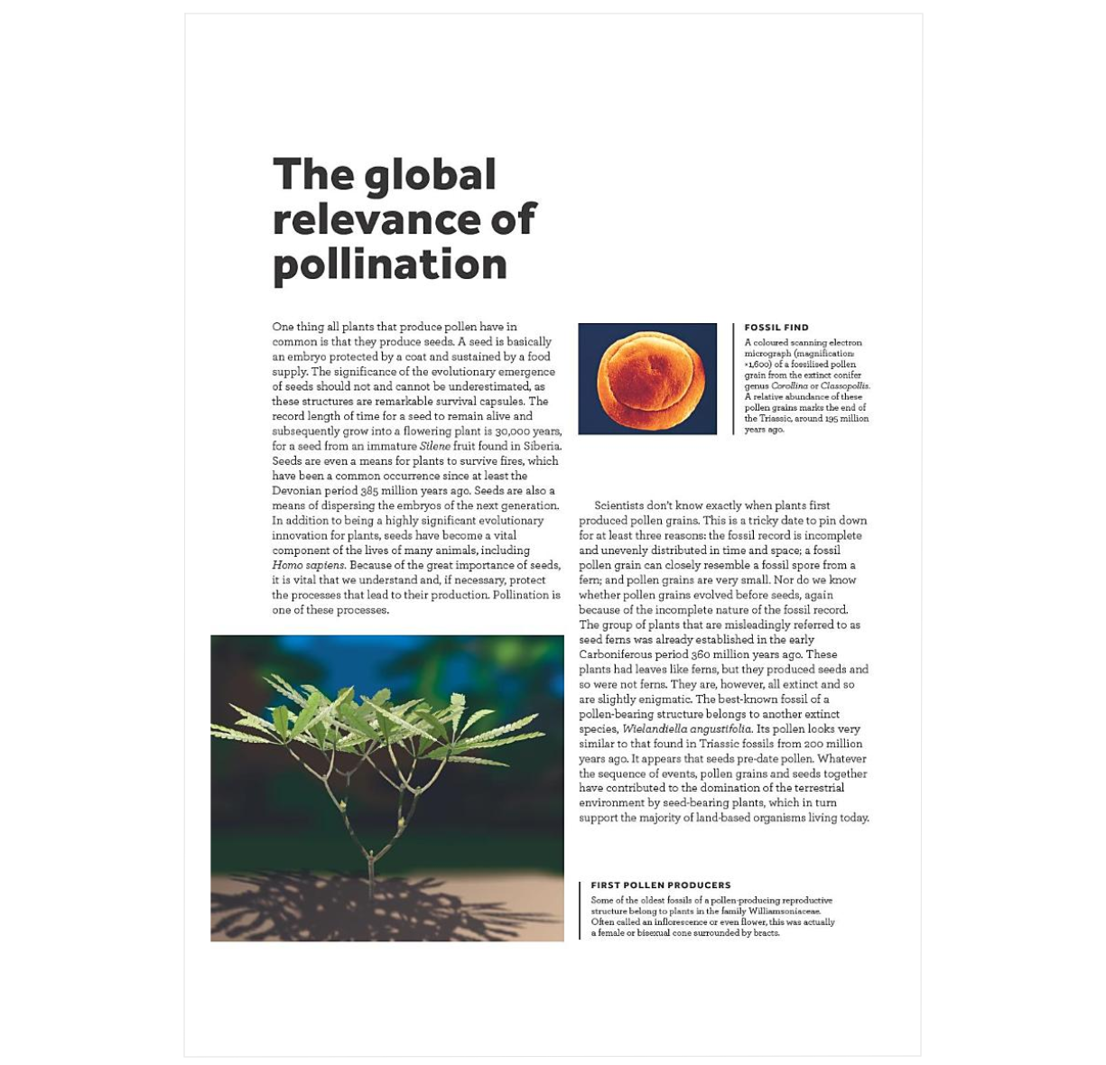 Pollination: The Enduring Relationship between Plant and Pollinator ...