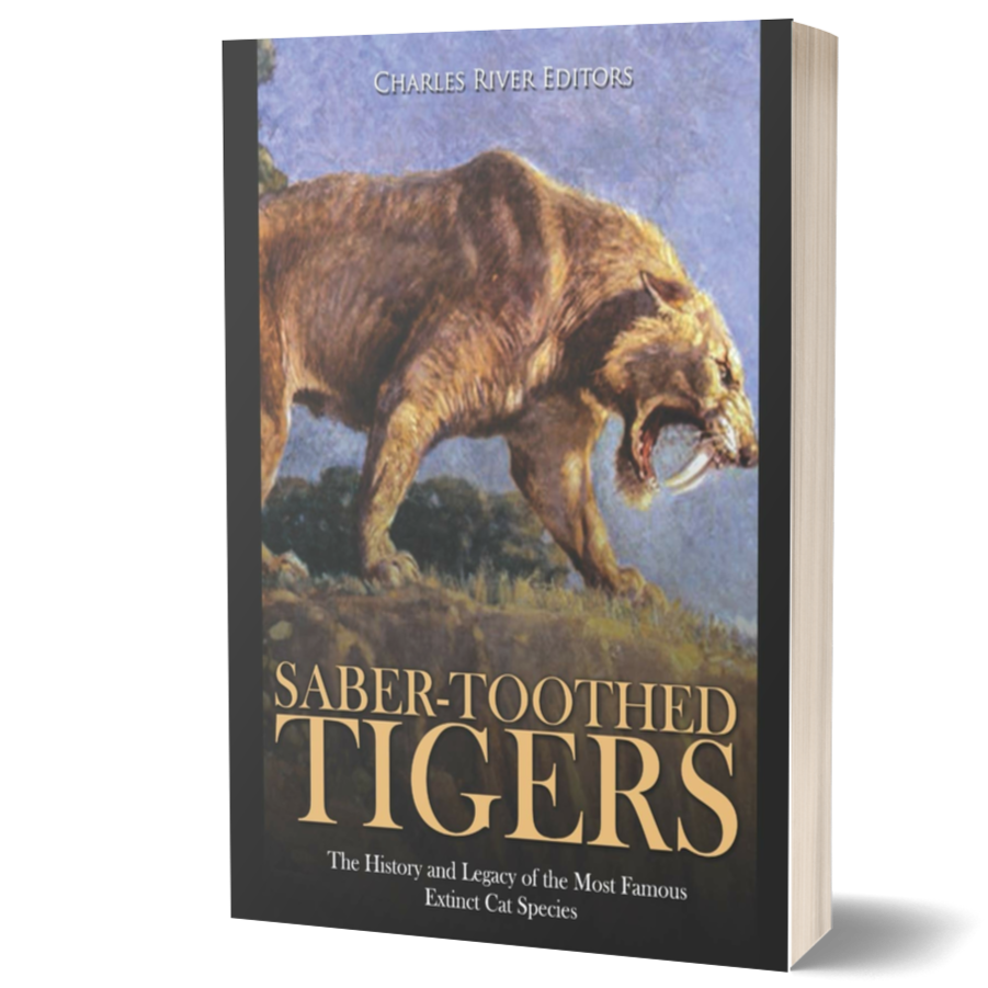 Saber-Toothed Tigers: The History and Legacy of the Most Famous Extinc ...
