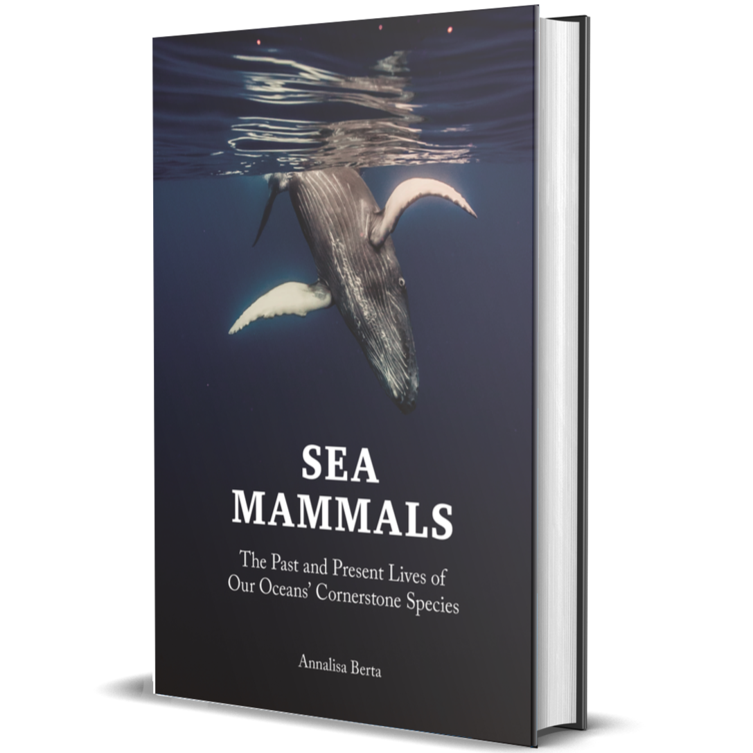Sea Mammals The Past and Present Lives of Our Oceans’ Cornerstone Spec ...
