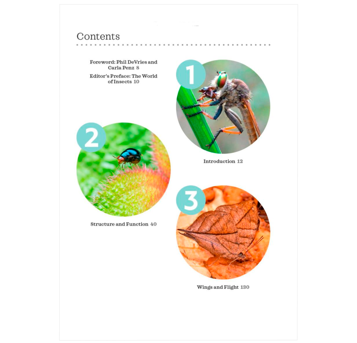 The Complete Insect Anatomy, Physiology, Evolution, and Ecology ...