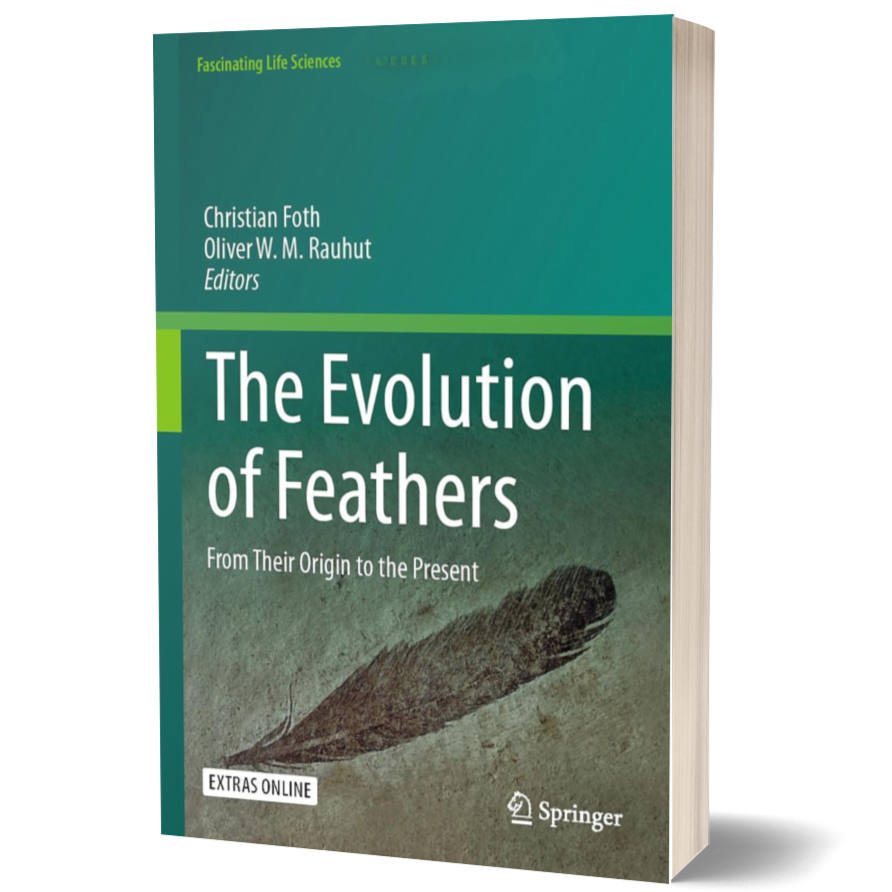 The Evolution of Feathers: From Their Origin to the Present (Fascinati ...