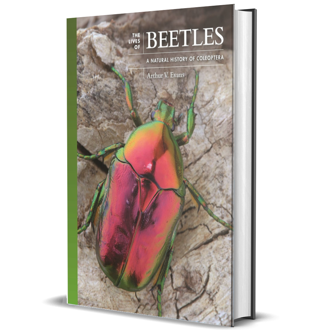 The Lives of Beetles: A Natural History of Coleoptera - BIOWEB® Colombia