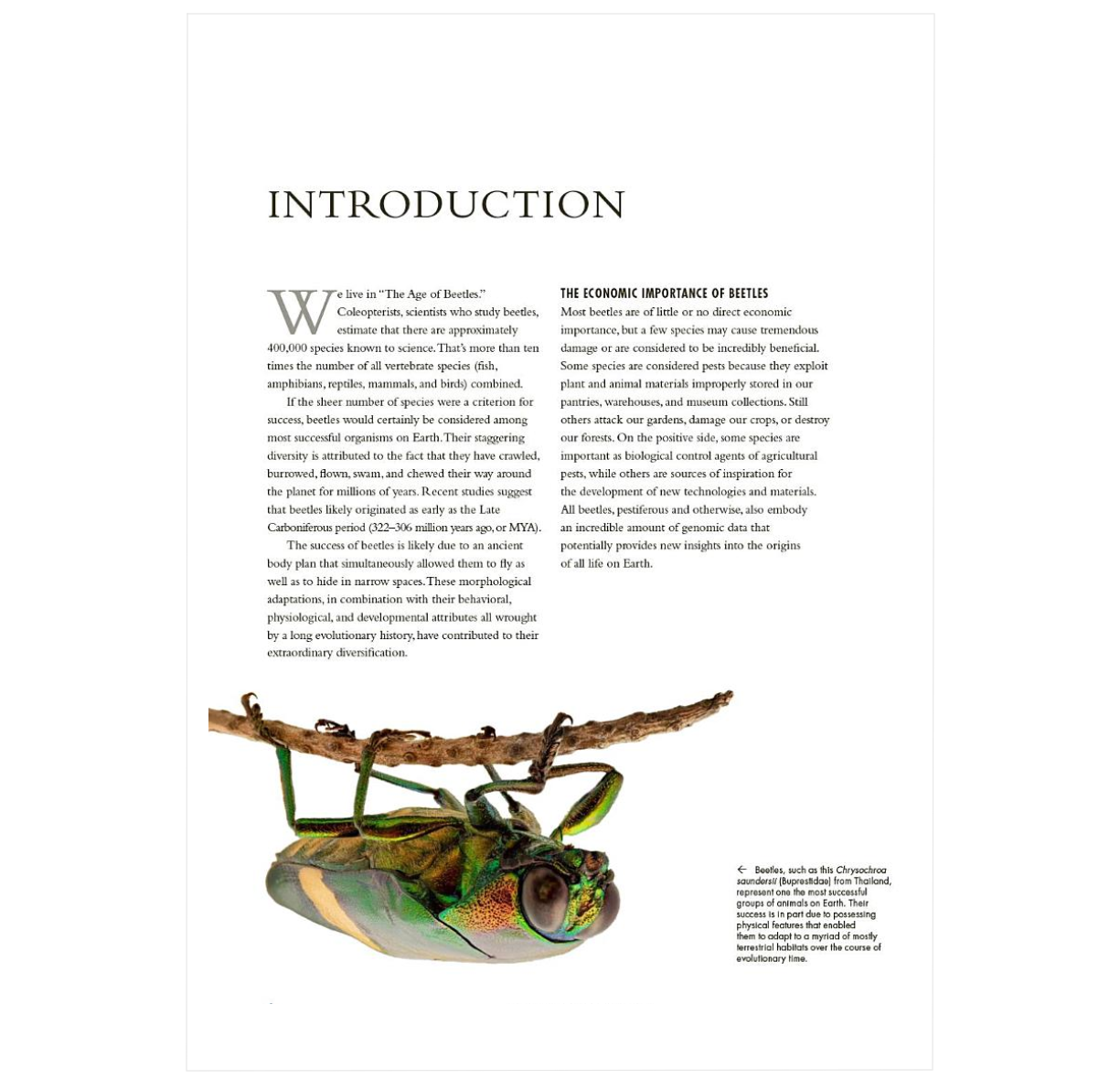 The Lives of Beetles: A Natural History of Coleoptera - BIOWEB® Colombia