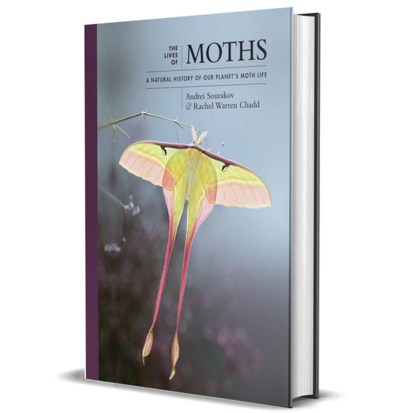 The Lives of Moths: A Natural History of Our Planet's Moth Life ...