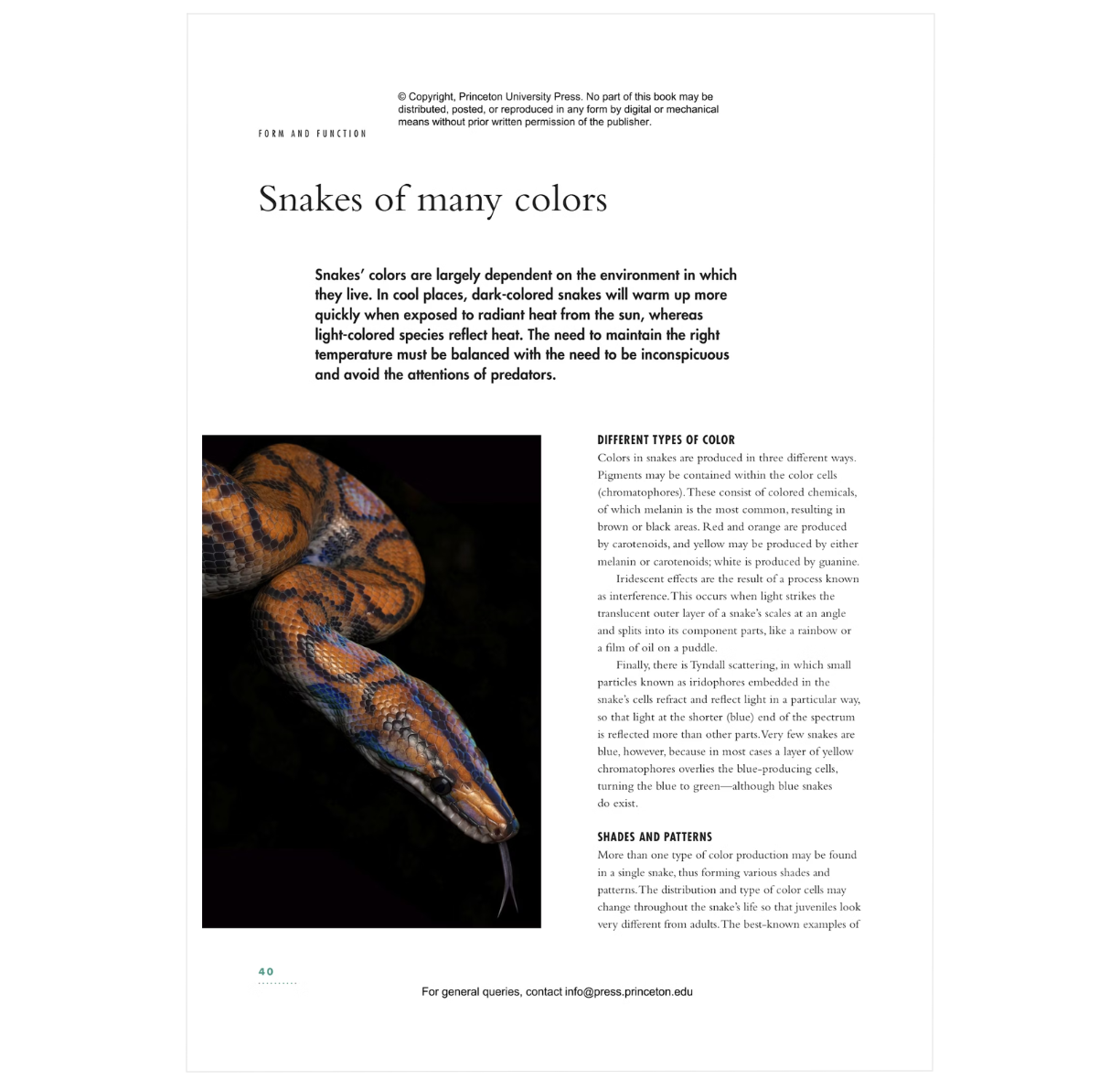 The Lives of Snakes: A Natural History of the World's Snake - BIOWEB ...