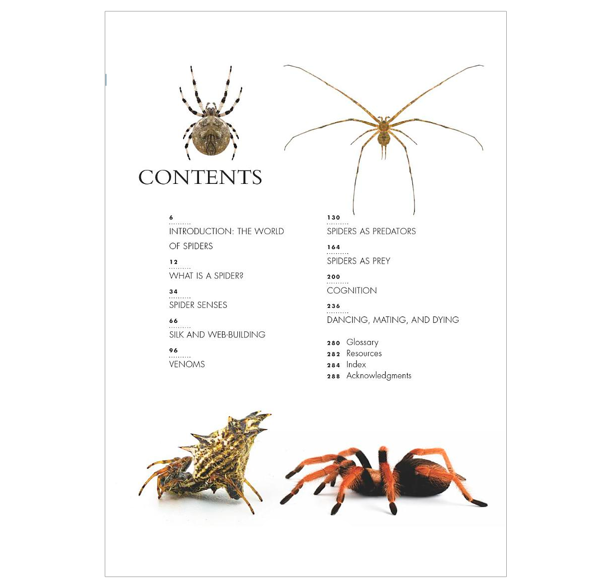 The Lives of Spiders: A Natural History of the World's Spiders - BIOWEB ...