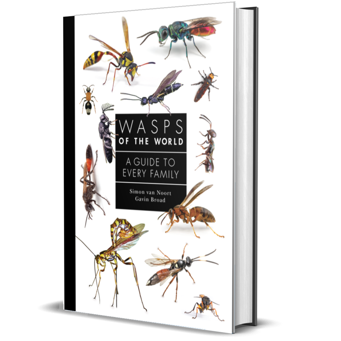 Wasps of the World: A Guide to Every Family - BIOWEB® Colombia
