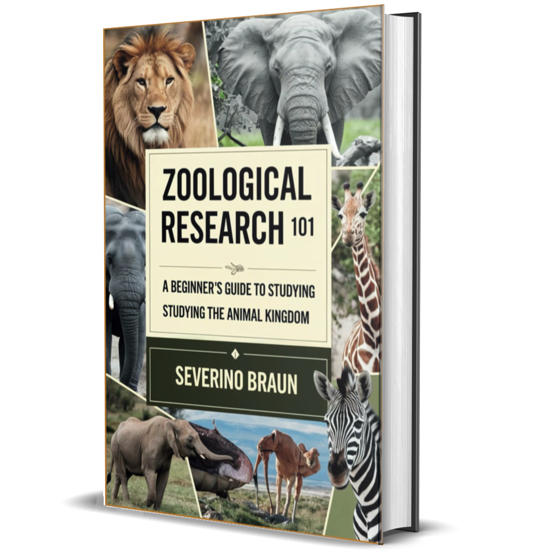 Zoological Research 101: A Beginner’s Guide to Studying the Animal Kin ...